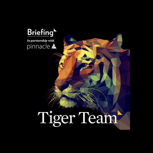 Briefing Tiger Team - Briefing